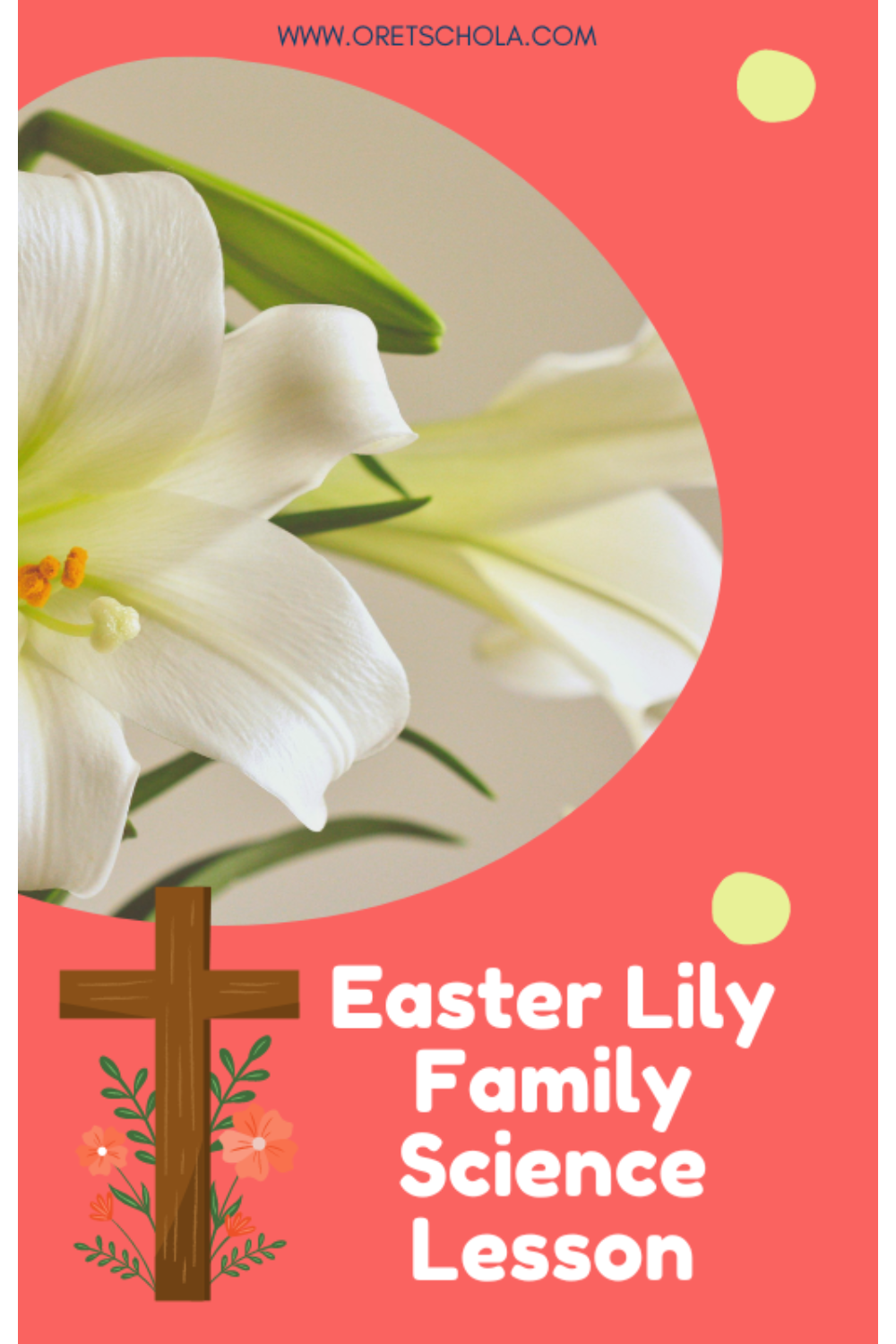 Awesome Catholic Easter Science Activity: Free Flower Dissection Lab ...